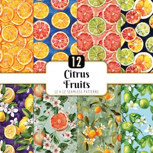 Citrus Fruits Seamless Patterns: Slices, Fruit Blossoms, Digital Paper ...