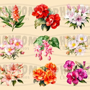 Watercolor Tropical Flowers Clipart Bundle I Exotic Floral, Summer ...