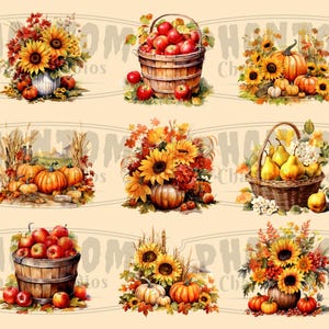 Cozy Autumn Clipart Bundle Fall Graphics, Sunflowers, Pumpkins ...