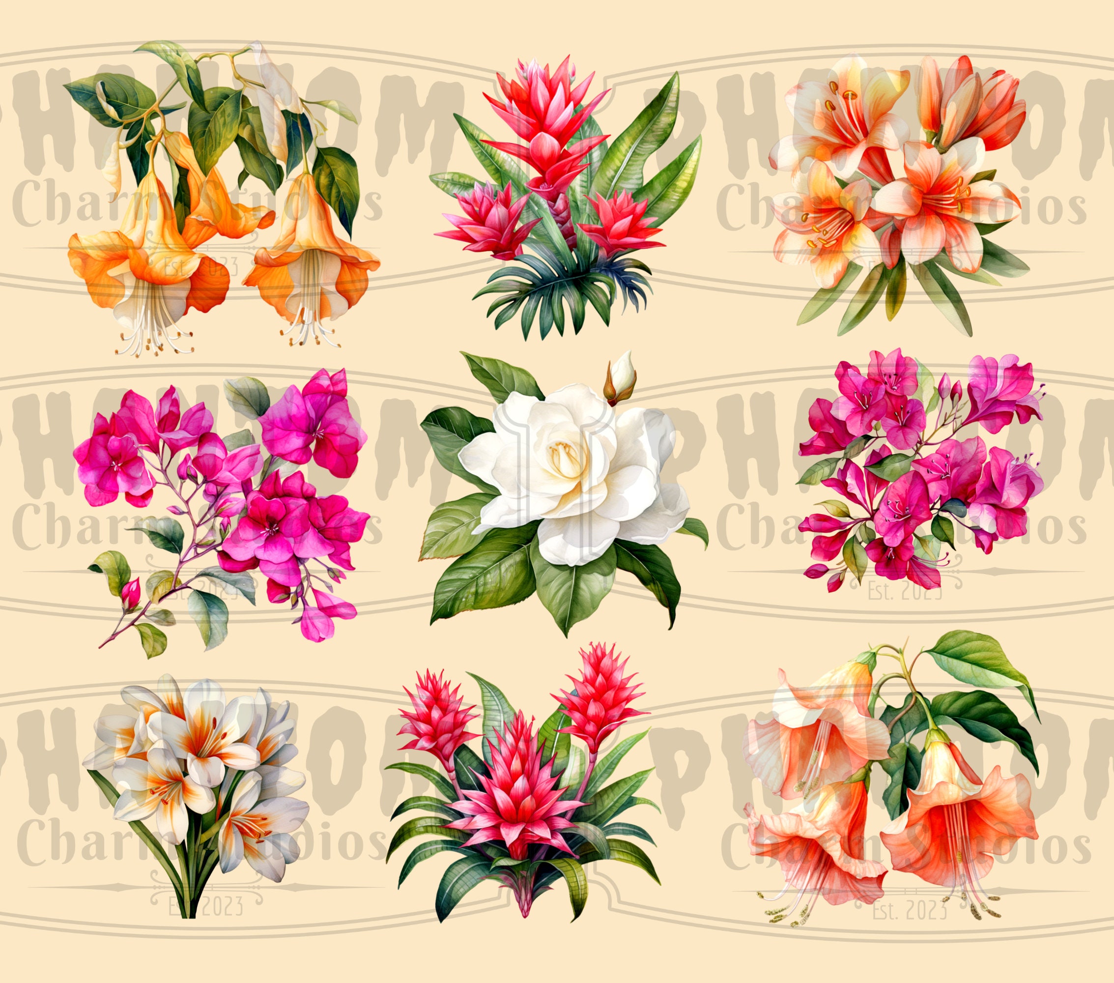 Watercolor Tropical Flowers Clipart Bundle I Exotic Floral, Summer ...