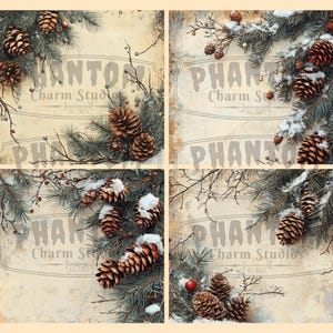 Winter Pinecone Digital Paper Pack: Rustic Holiday Backgrounds (PNG ...