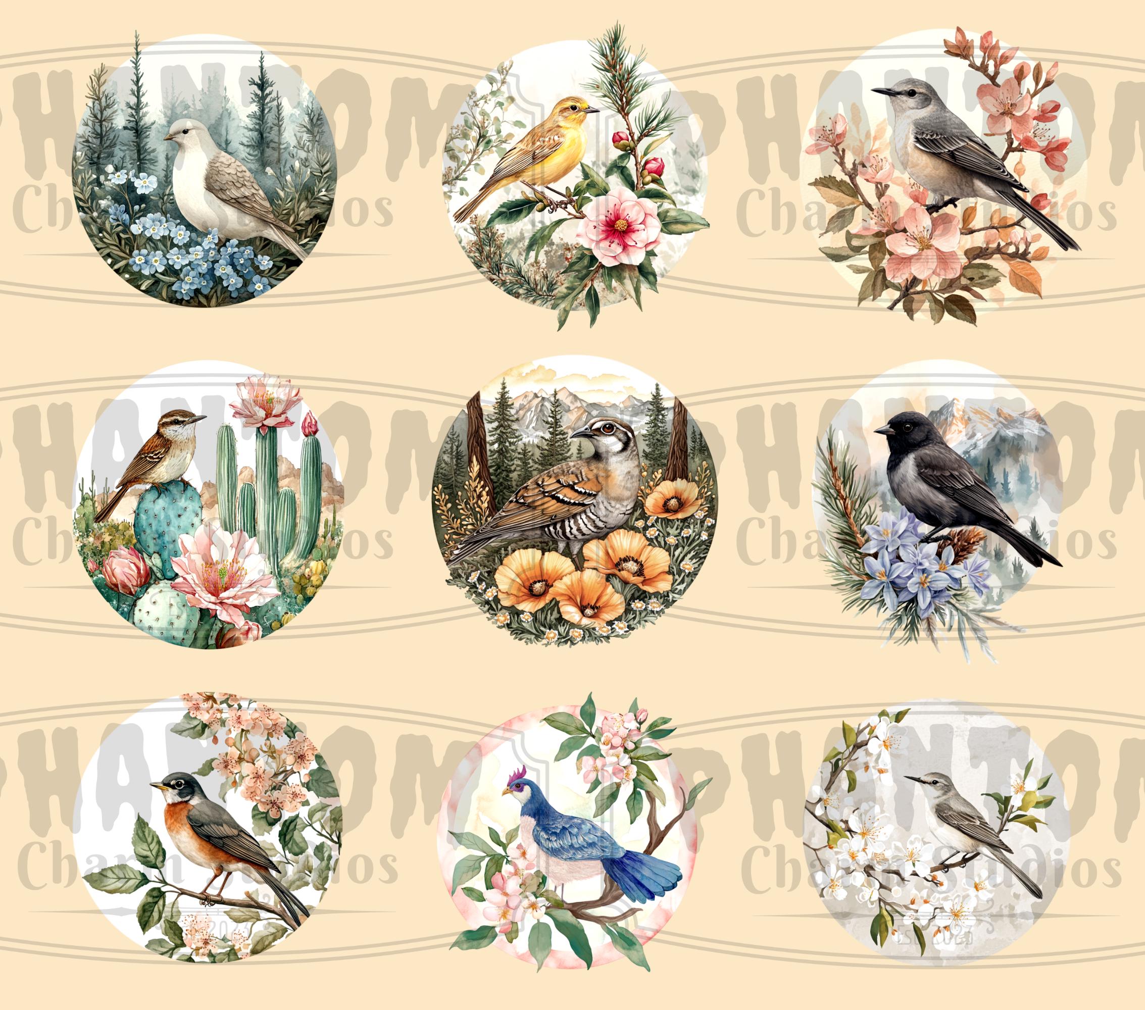 State Birds Clipart Bundle | Watercolor, All 50 United States, North ...