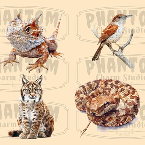 Watercolor Desert Animals Clipart: Southwest Wildlife Illustrations ...