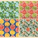 Citrus Fruits Seamless Patterns: Slices, Fruit Blossoms, Digital Paper ...