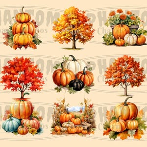 Cozy Autumn Clipart Bundle Fall Graphics, Sunflowers, Pumpkins ...