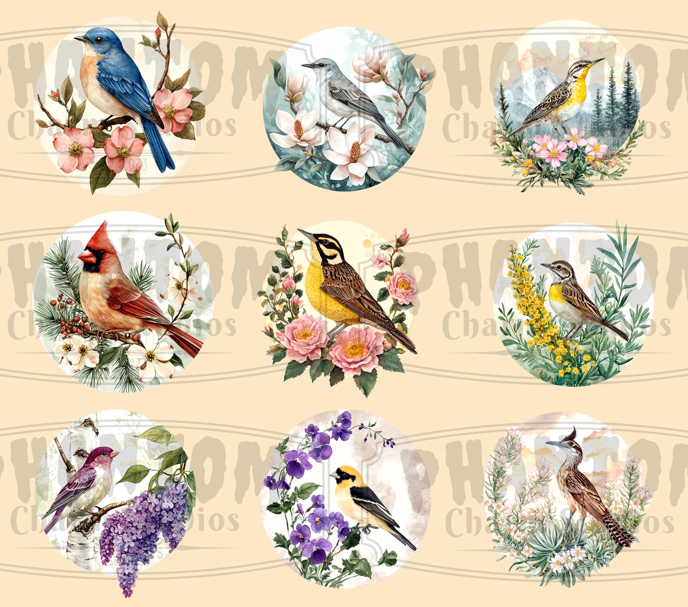 State Birds Clipart Bundle | Watercolor, All 50 United States, North ...