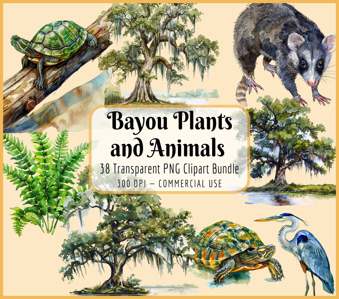 Bayou Plants and Animals Clipart Bundle I Southern Landscape Botanical ...