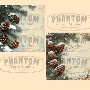 Winter Pinecone Digital Paper Pack: Rustic Holiday Backgrounds (PNG ...