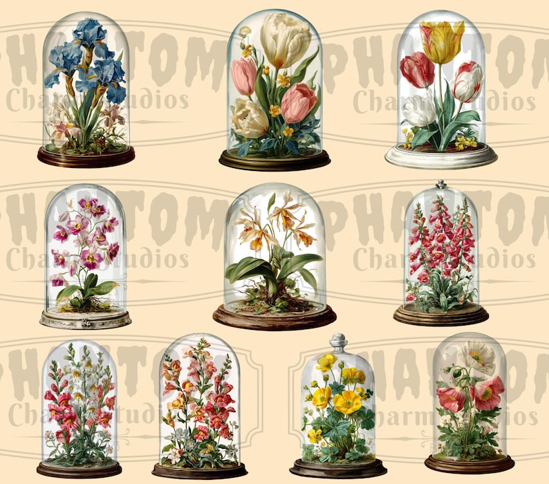 Antique Flower Bell Jars Clipart: Botanical Dome Floral Illustrations ...