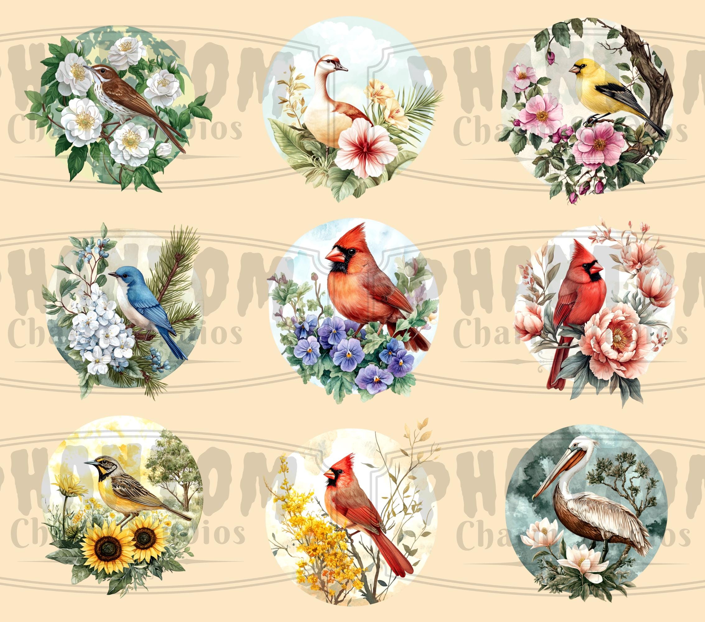 State Birds Clipart Bundle | Watercolor, All 50 United States, North ...