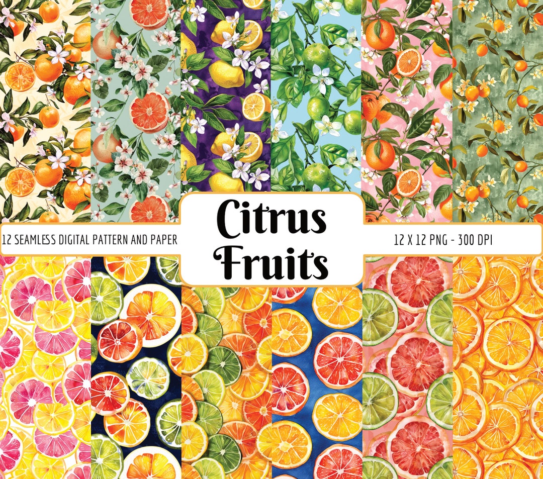Citrus Fruits Seamless Patterns Bundle Digital Paper Pack, Watercolor Fruit Blossoms Citrus ...