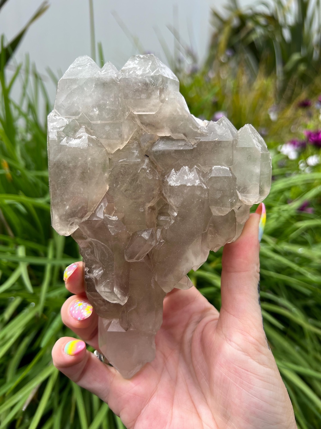 Smokey Elestial Tabby Specimen, Large Smokey Quartz, Minas Gerais ...