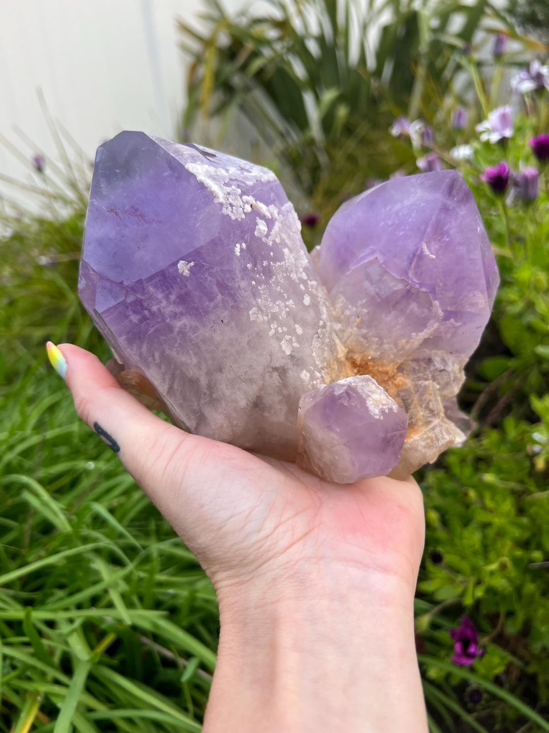 Large Bahia Amethyst Cluster Specimen: Rare Brazil Mineral - Etsy