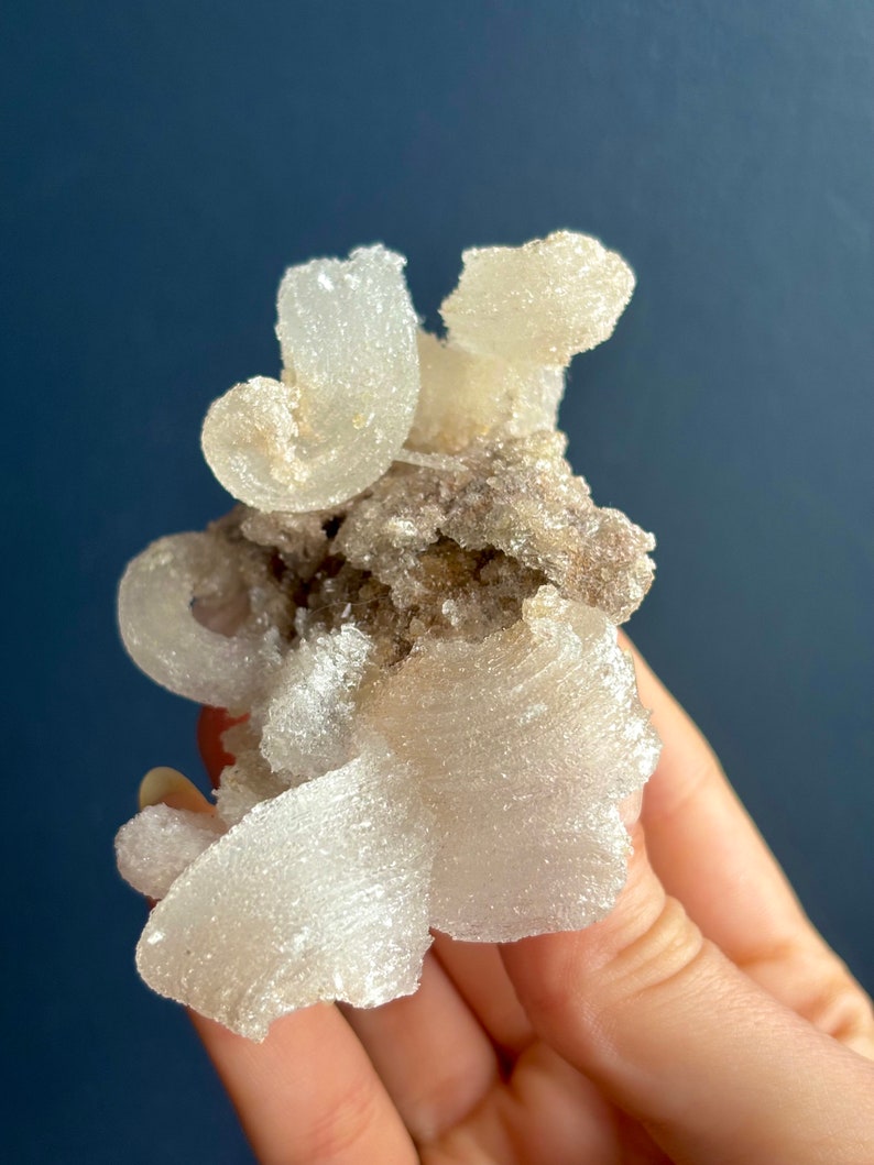 Oujda Selenite Specimen From Morocco Rams Horn Gypsum Rare Crystal for ...