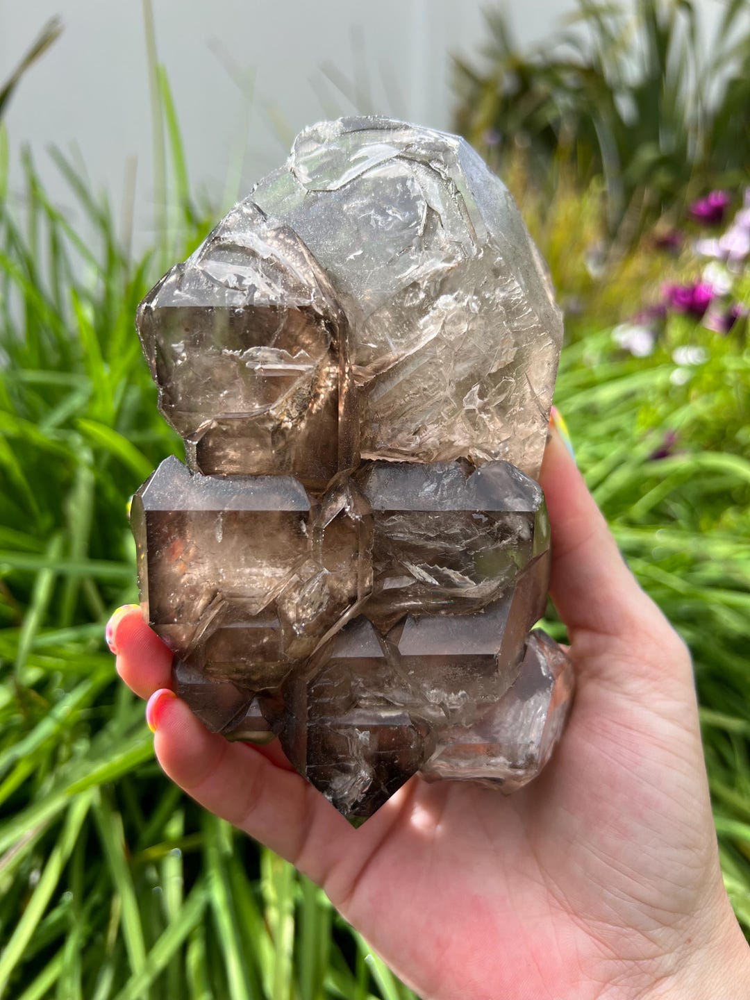 Smokey Elestial Tabby Specimen, Large Smokey Quartz, Minas Gerais ...