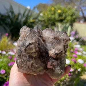 Smoky Elestial Twin Scepter Specimen, Elestial Smoky Scepter Quartz ...