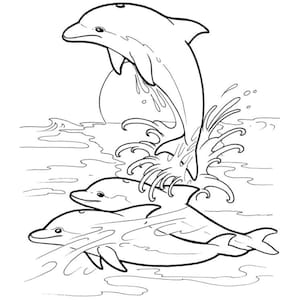 Sea World Animals 20 Coloring Pages Instant Download - Etsy
