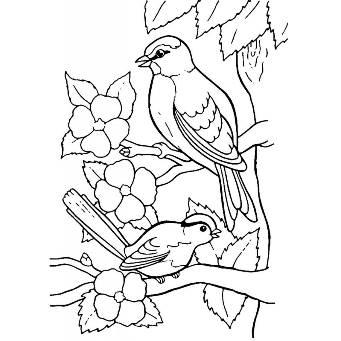 Little Bird Coloring Pages Instant Download 20 Pages Coloring - Etsy