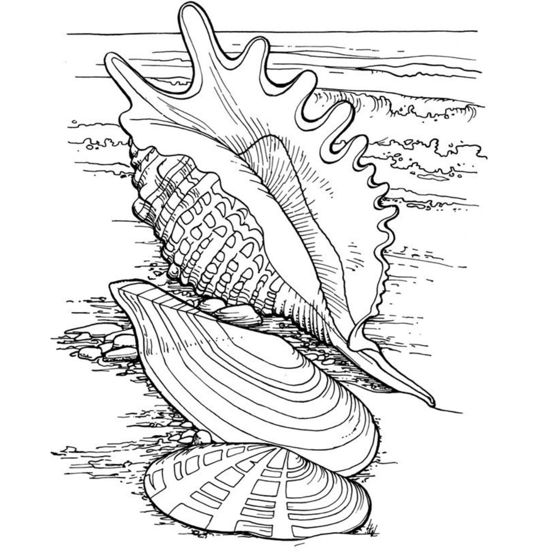 Sea World Animals 20 Coloring Pages Instant Download - Etsy