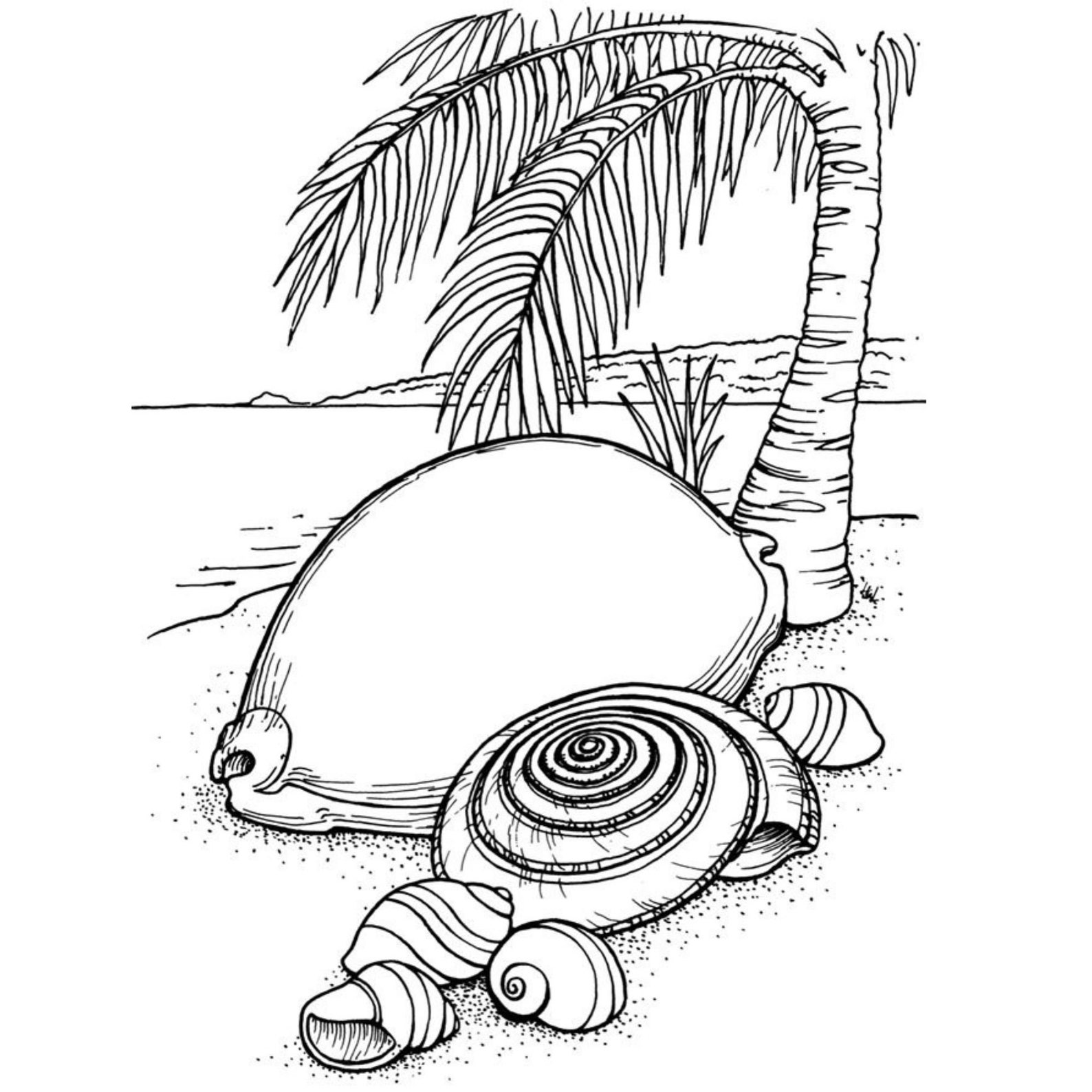 Sea World Animals 20 Coloring Pages Instant Download - Etsy