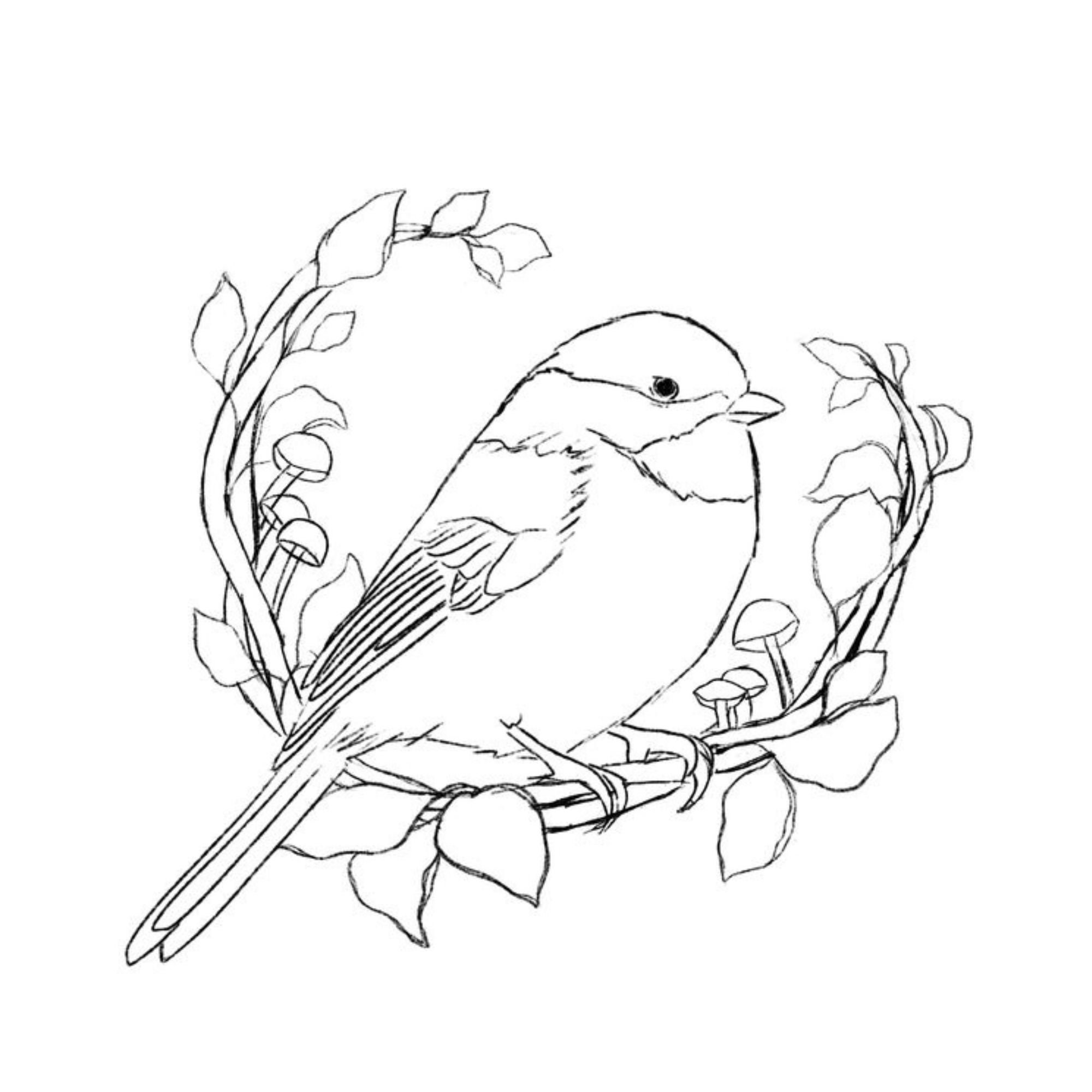 Little Bird Coloring Pages Instant Download 20 Pages Coloring - Etsy