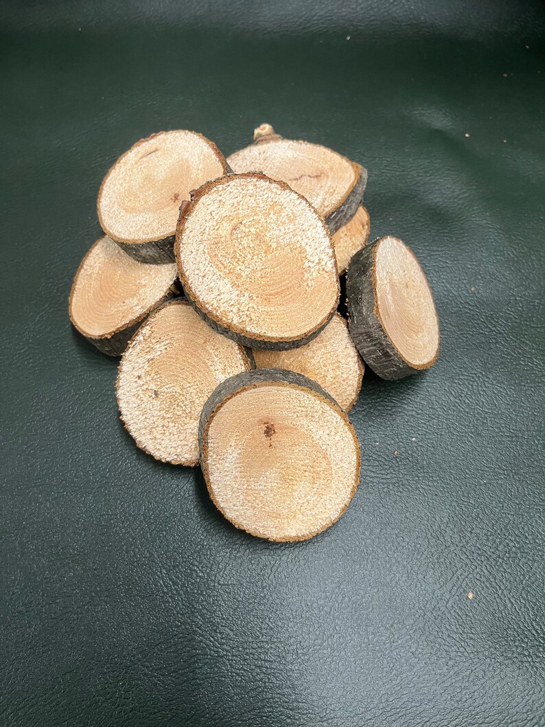 Live Edge 2” Wide Pine Wood Slices Set of 10 - Etsy