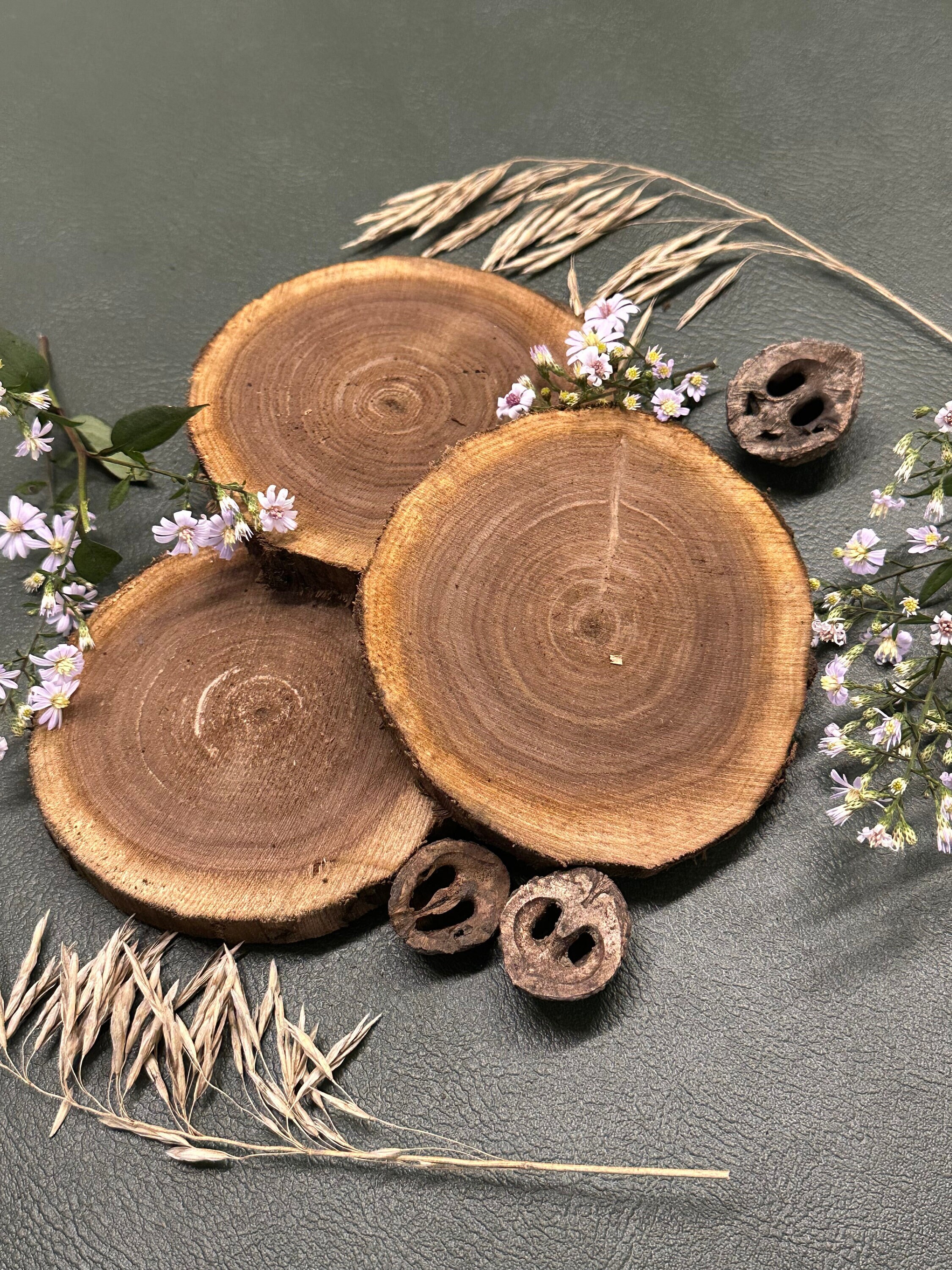 Black Walnut Wood Slices 4" Wide Set of 10 - Etsy