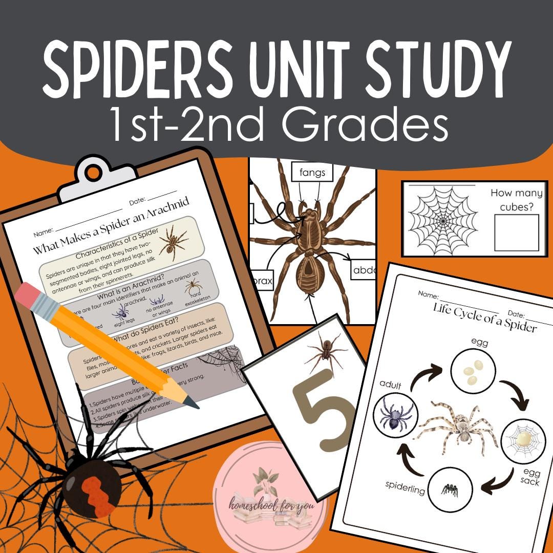 Spider Unit Study | 1st–2nd Grade Spider Lessons & Activities ...