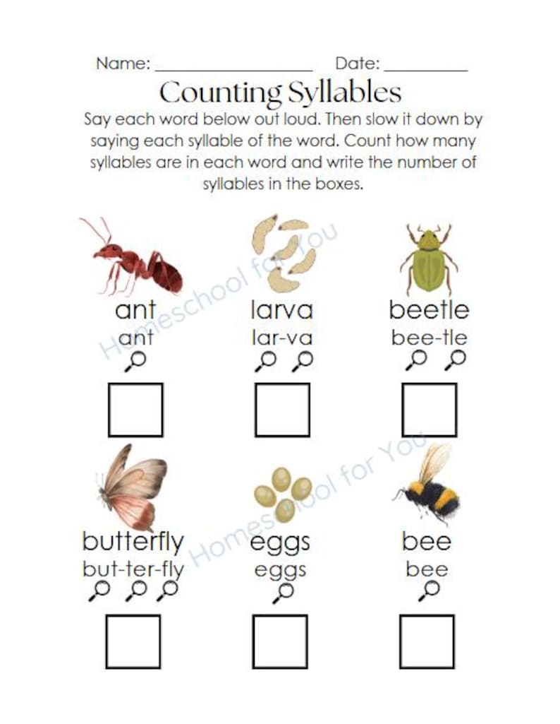 Kindergarten Insect Unit Study - Bug Unit Study - Etsy
