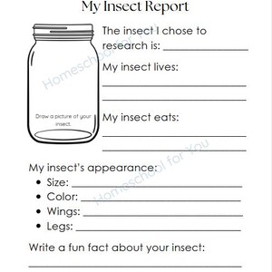 Kindergarten Insect Unit Study - Bug Unit Study - Etsy