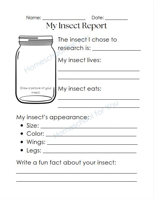 Kindergarten Insect Unit Study - Bug Unit Study - Etsy