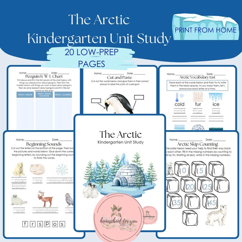 The Arctic Kindergarten Unit Study - Etsy