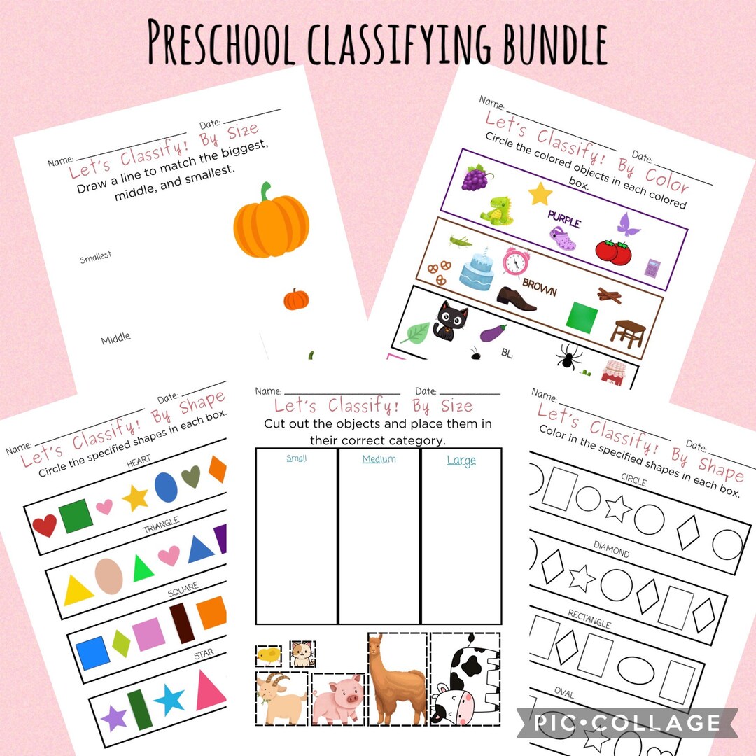 DIGITAL Preschool Classifying Bundle - Etsy