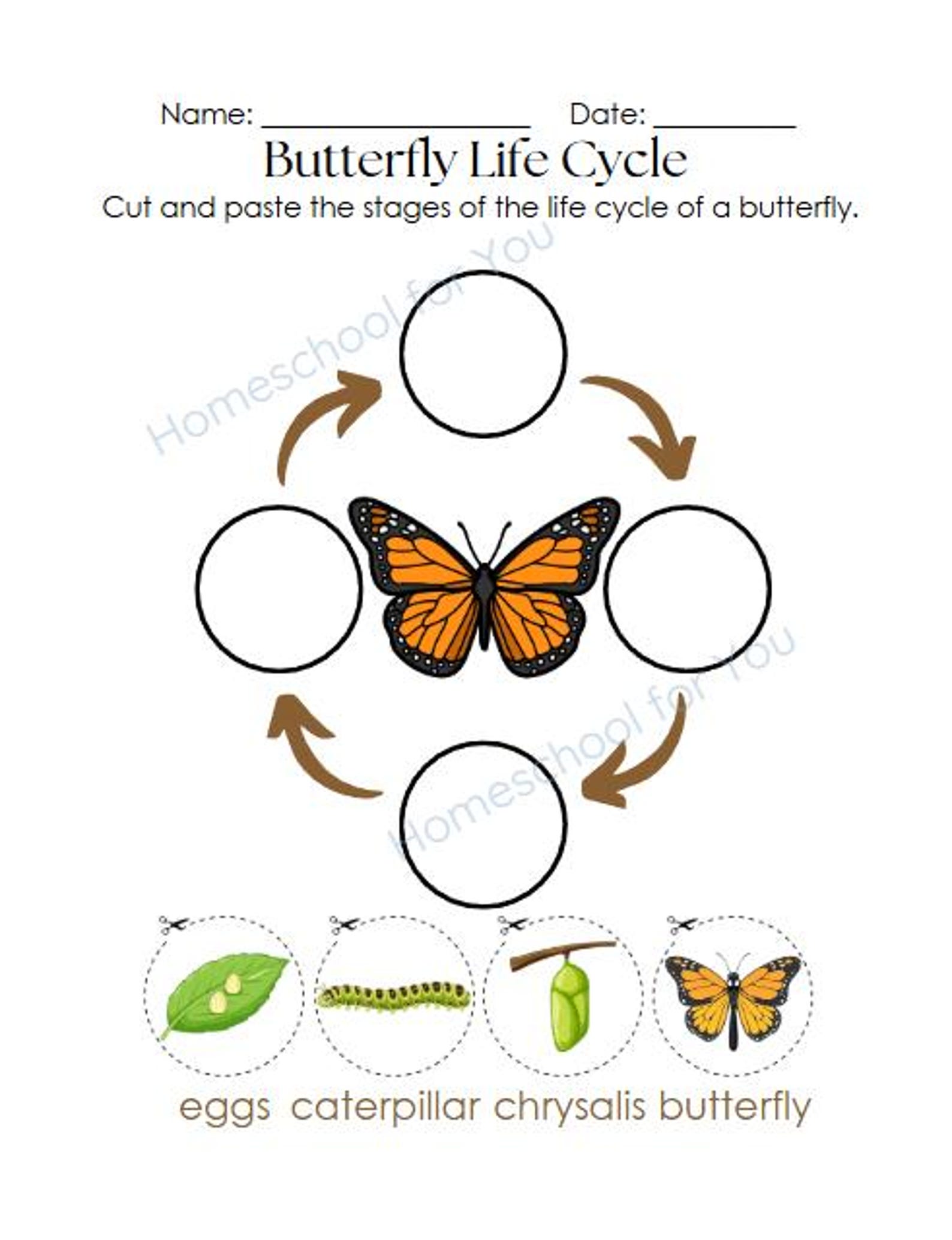 Kindergarten Insect Unit Study - Bug Unit Study - Etsy