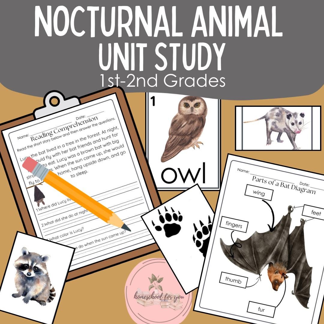 Nocturnal Animals Unit Study | 1st-2nd Grade Worksheets, Crafts ...