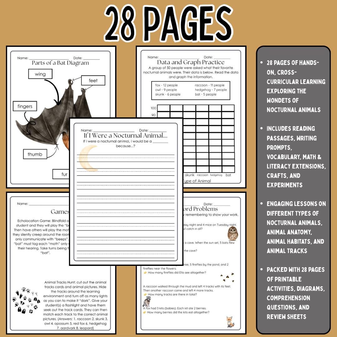 Nocturnal Animals Unit Study | 1st-2nd Grade Worksheets, Crafts ...