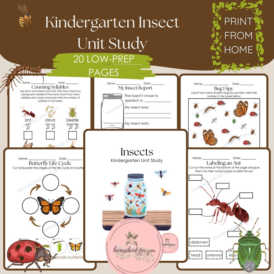 Kindergarten Insect Unit Study - Bug Unit Study - Etsy