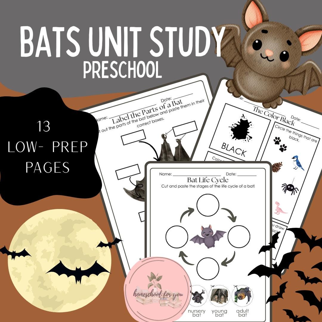 Preschool Bats Unit Study | Fall Unit Study - Etsy