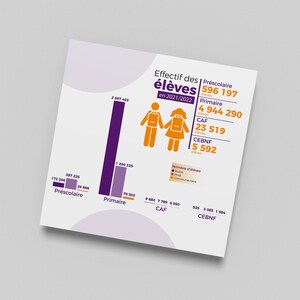 Custom Bar Chart, Bar Graph for Presentations or Reports, Custom ...