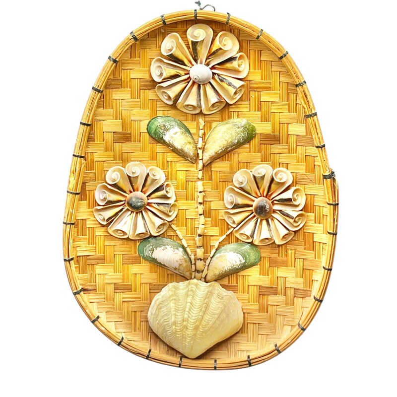 Shell Arrangements - Etsy