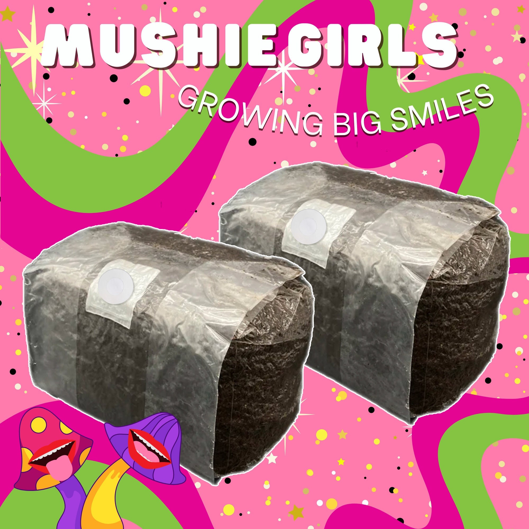 2 5lb Mushroom Substrate Bag - Etsy