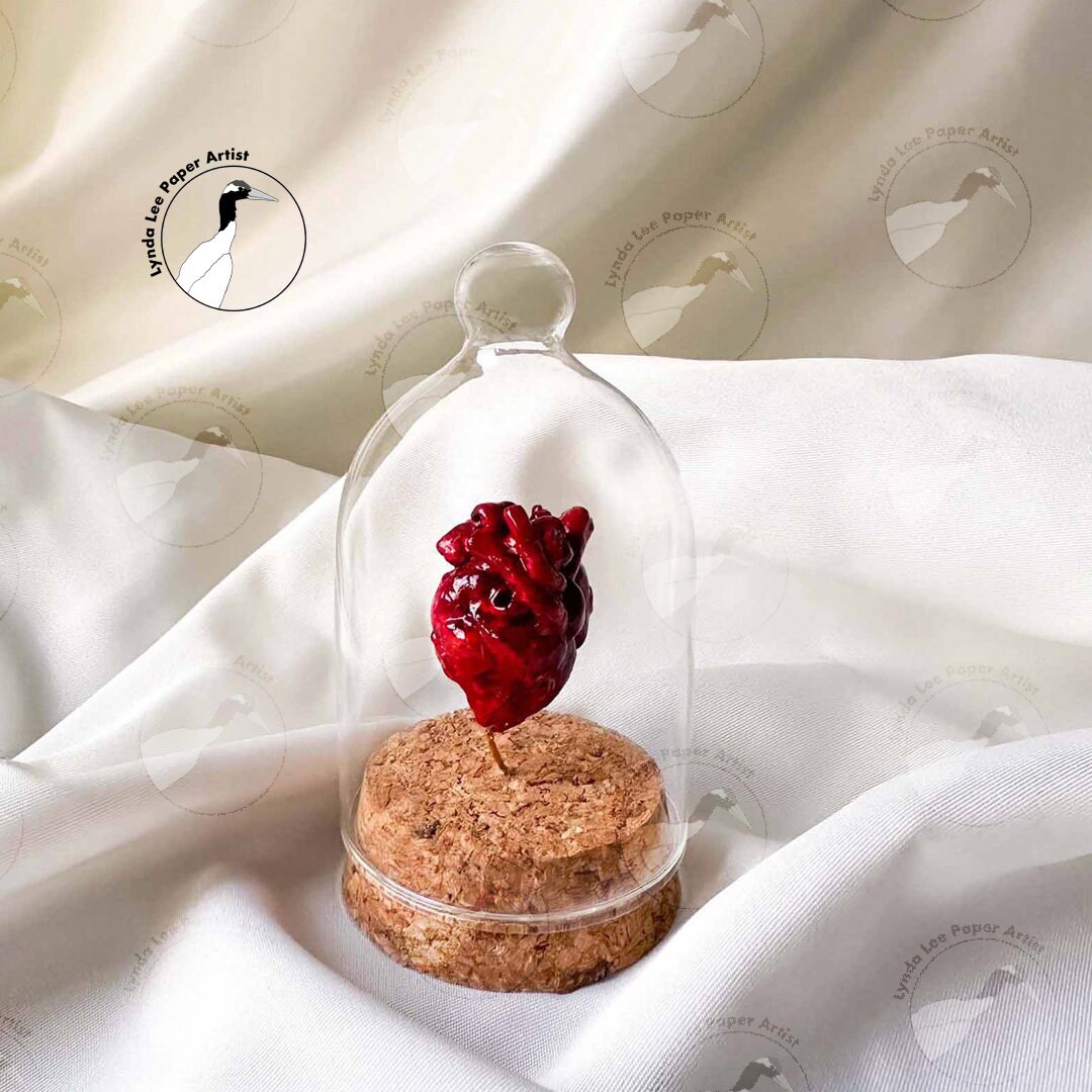 Miniature Jar of Heart, Anatomy of a Heart, Science and Biology - Etsy
