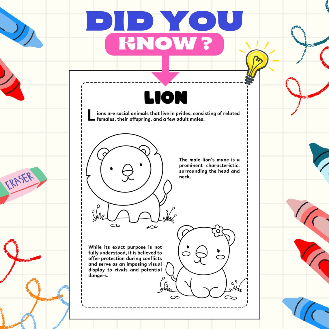 HOW TO DRAW A-Z: Wild Animals for Kids - Etsy