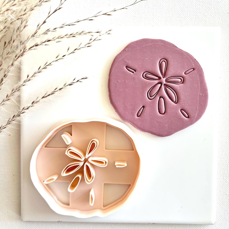 Large Sand Dollar - Etsy