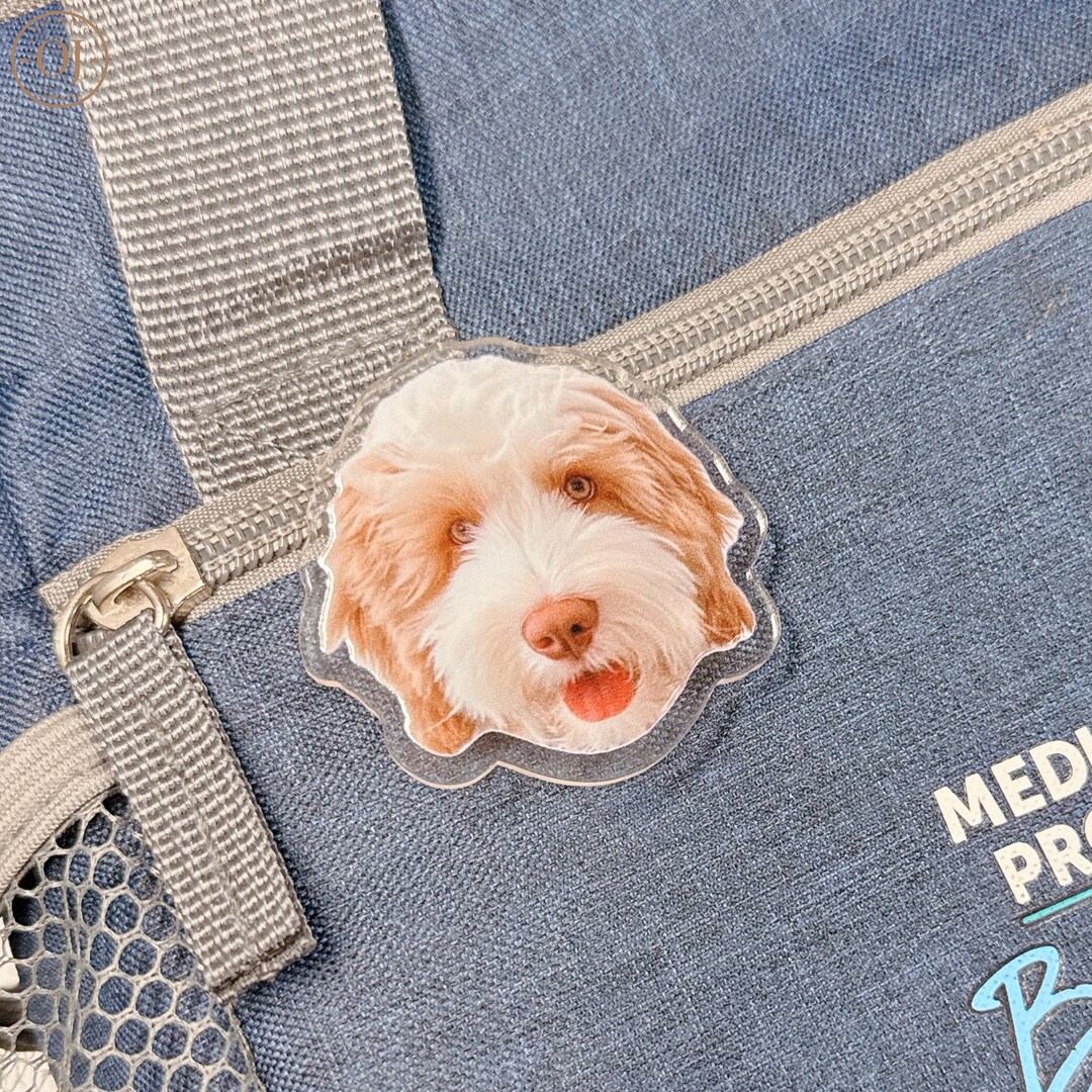 Custom Dog Pin, Cat Pin, Pet Photo Pins, Nursing Pin, Enamel Pins ...