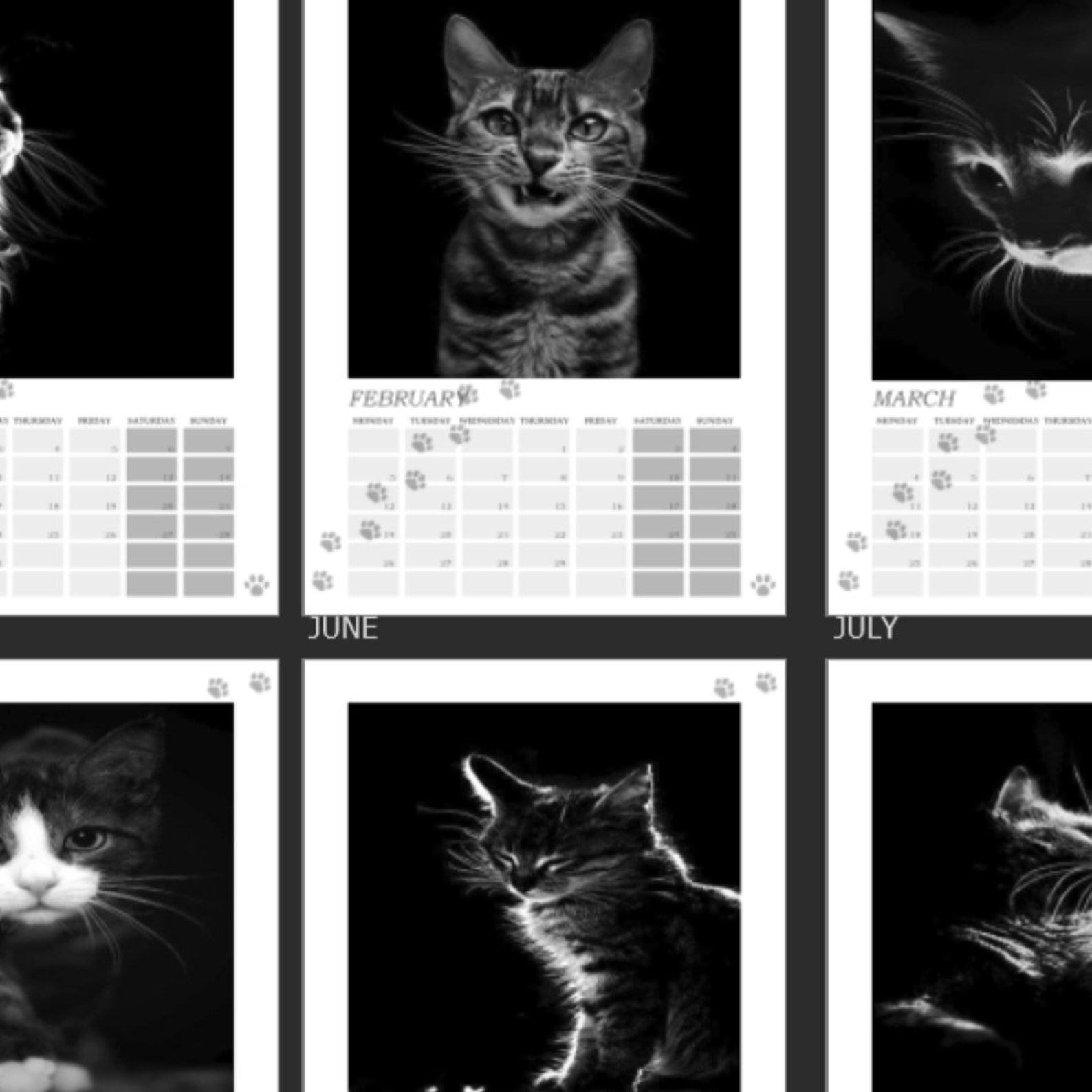CAT CALENDAR 2024 - PRINTABLE - Etsy