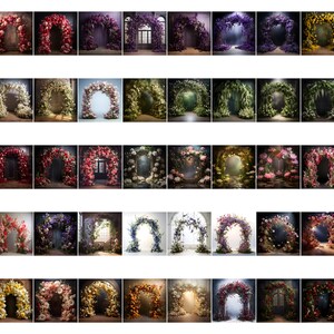 50 Birth Month Flower Frame Digital Backdrops, Studio Overlays ...