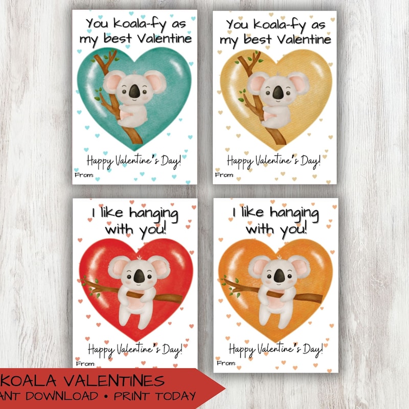 Koala Gifts - 60+ Gift Ideas for 2026
