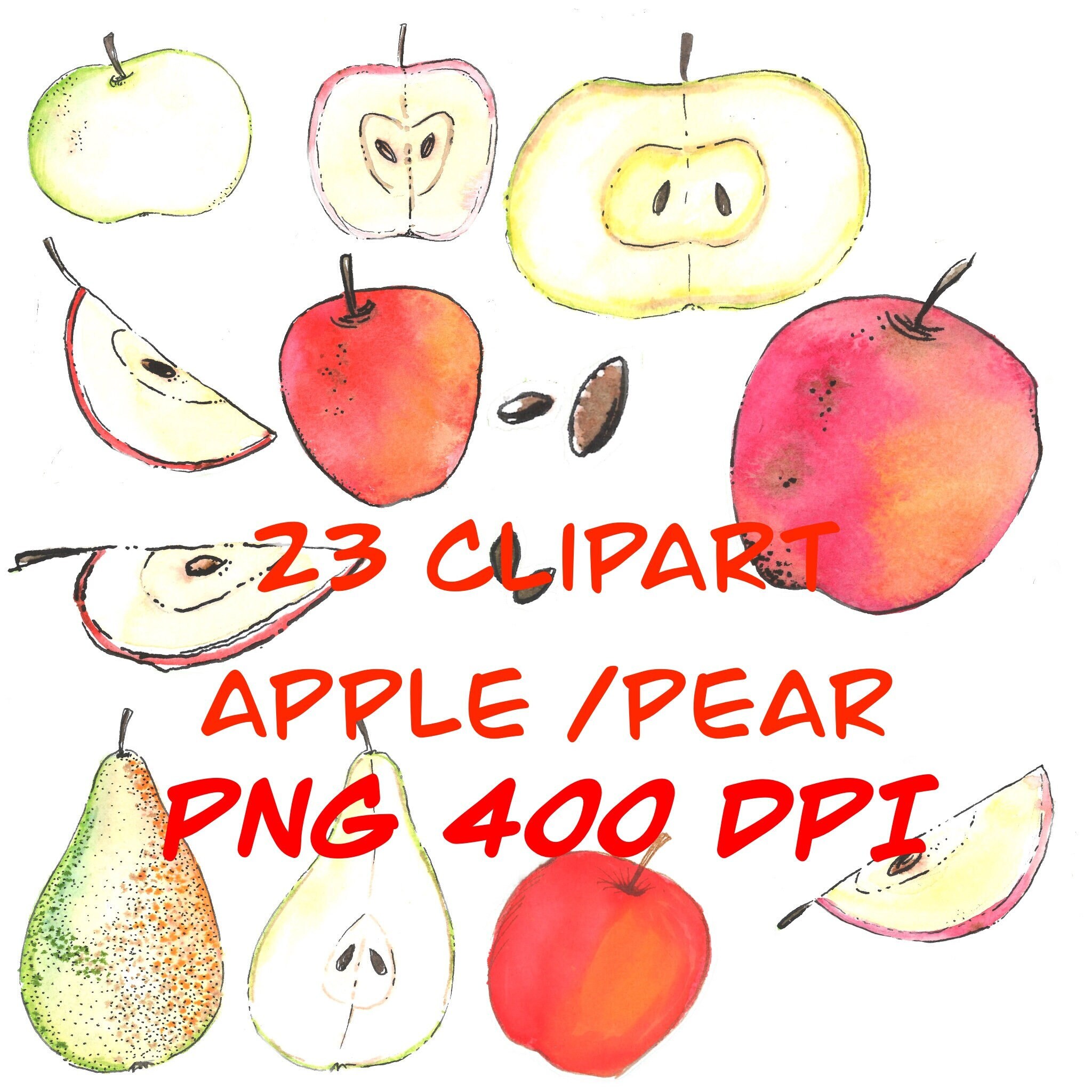 Colorful Set Clipart Apple Illustration at 400 Dpi.asset With Print ...