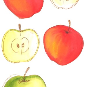 Colorful Set Clipart Apple Illustration at 400 Dpi.asset With Print ...
